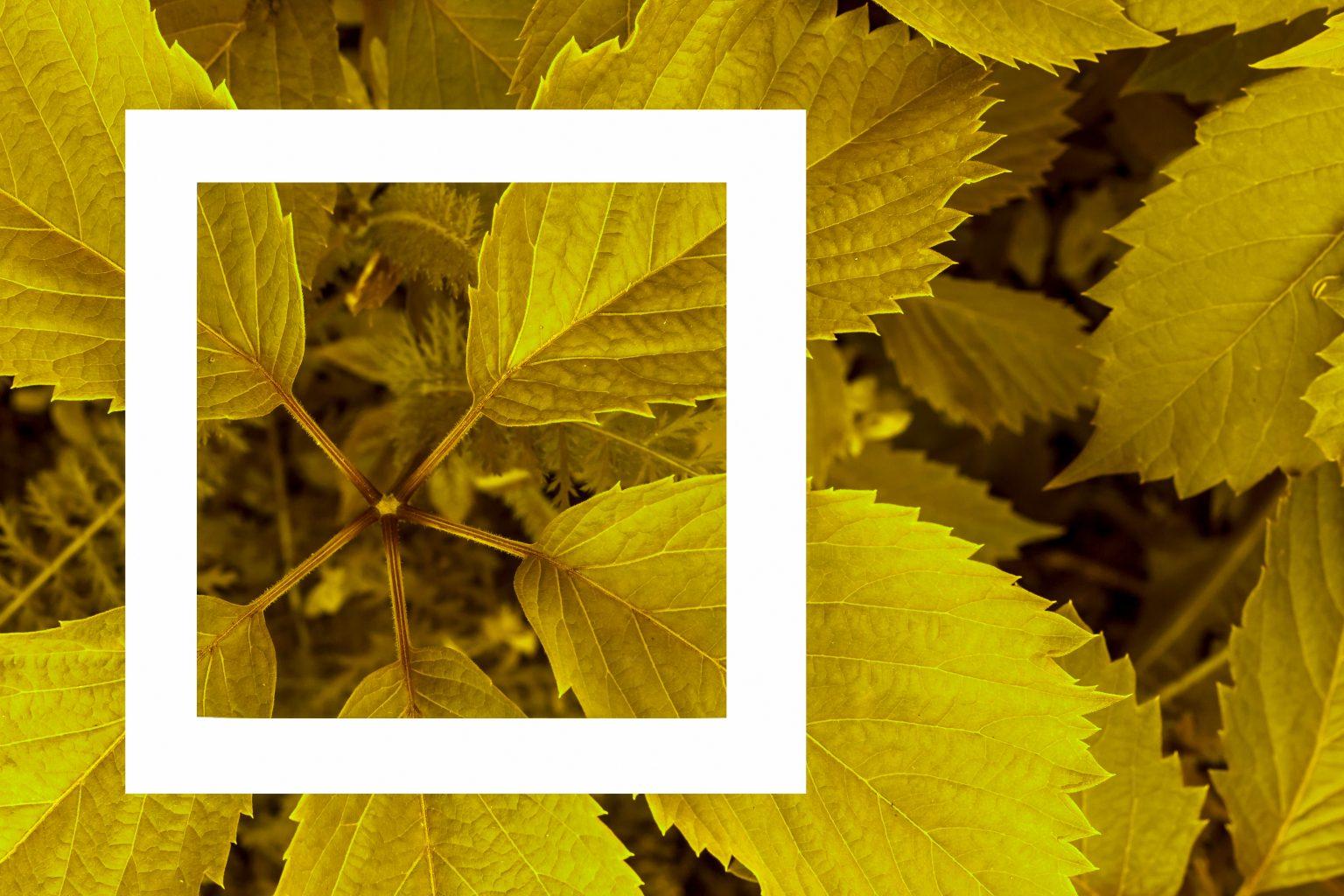 Do Photo Prints with a High Resolution make a noticeable difference?