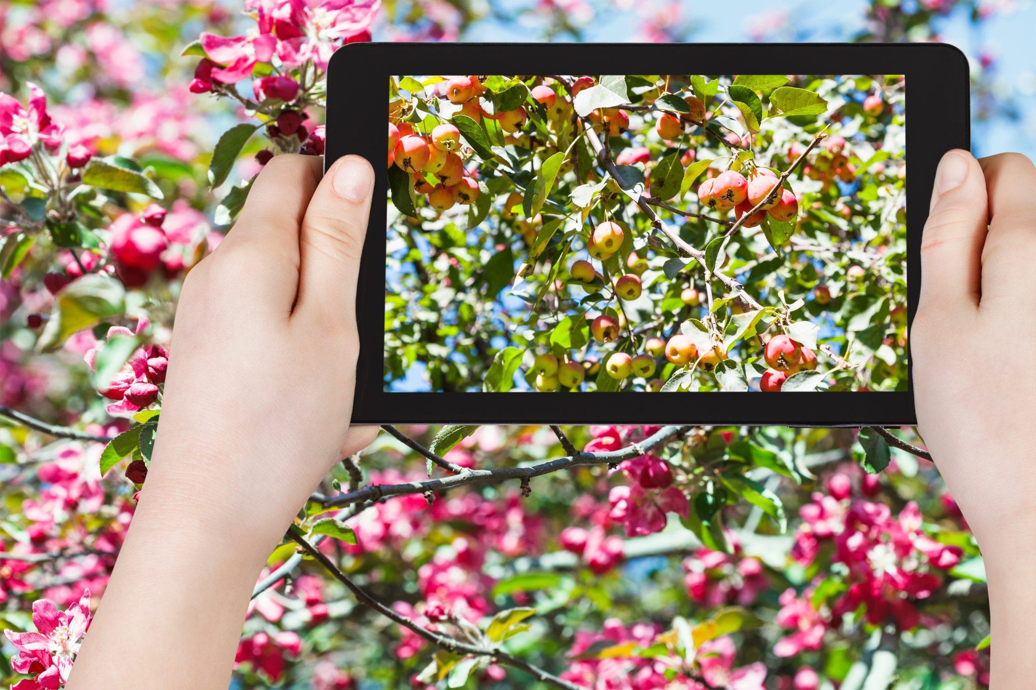 Things to consider while Clicking Photos