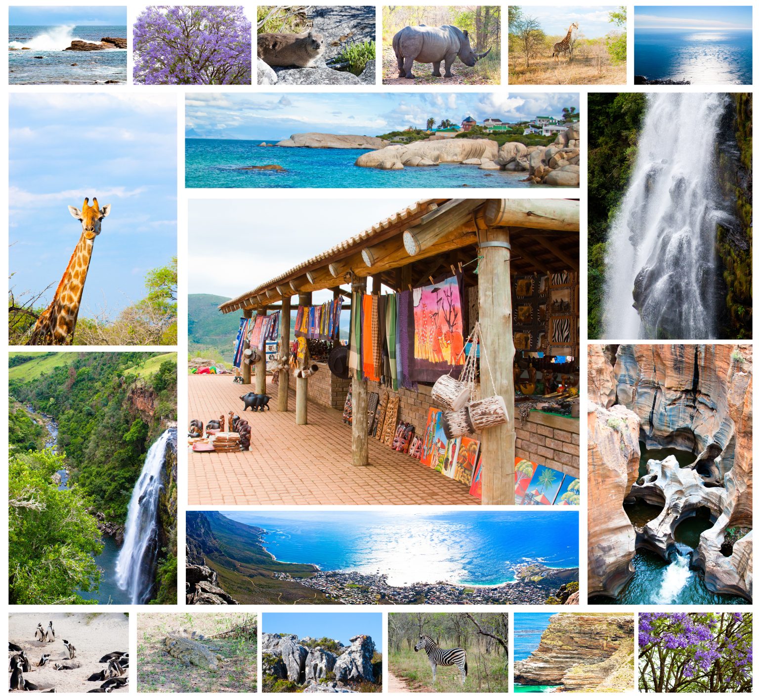 The Ultimate Guide to Photo Collage Frames and Printing Solutions