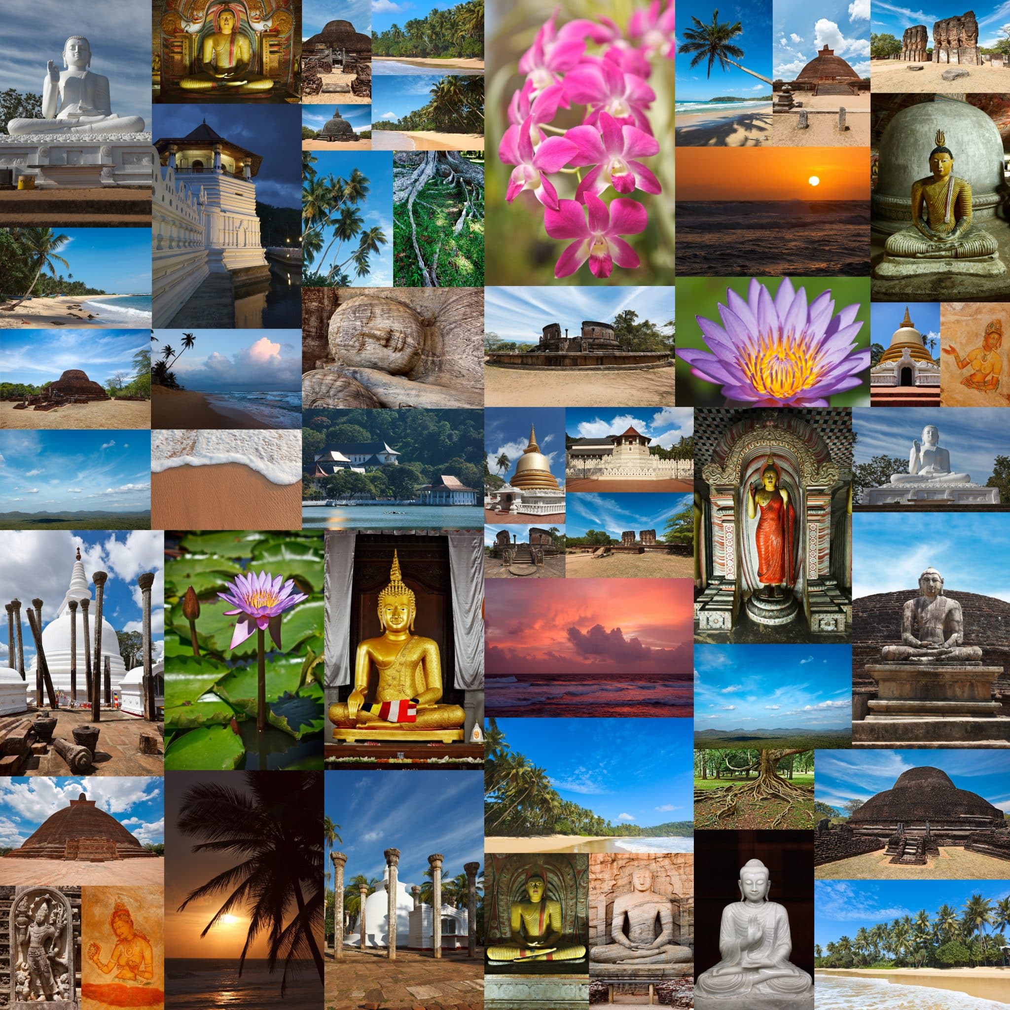 How to Create Automatic Collage on Onlinecollagemaker.com